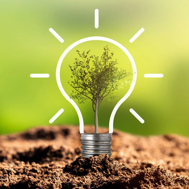 Пчелопакеты 2024 оптом и в розницу - Oksky: окский мёд и пчелопродукты оптом и в розницу